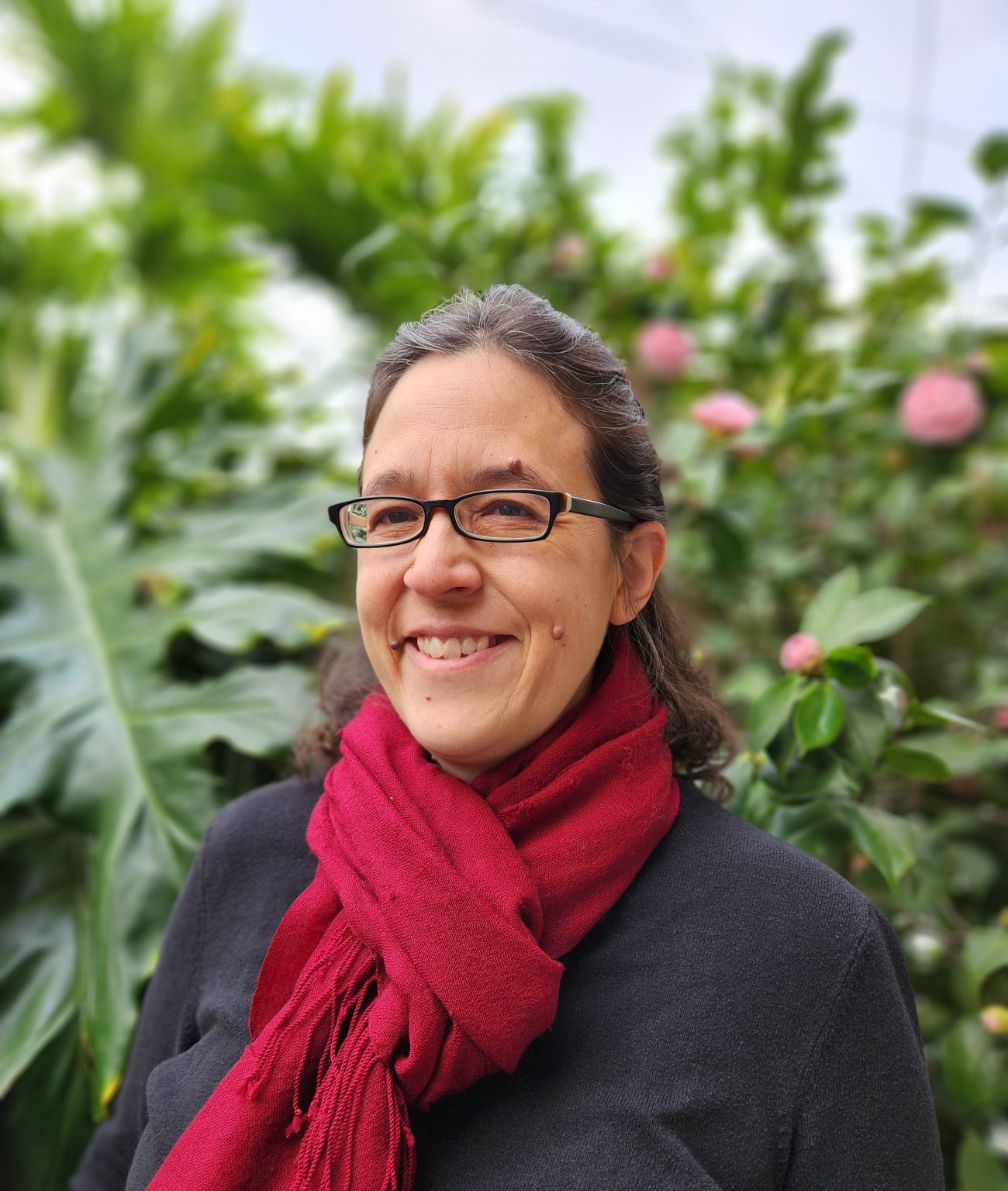 Michelle Hauck » Clients